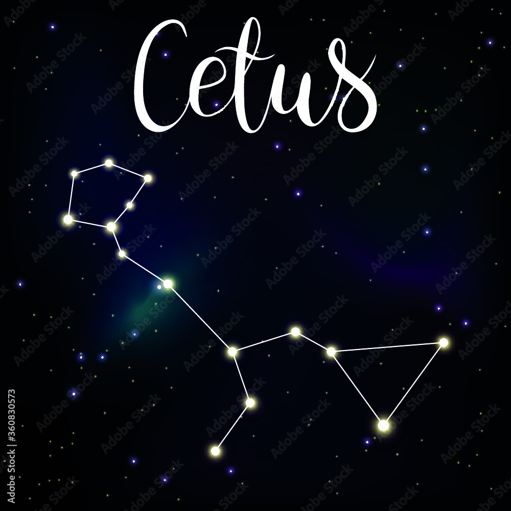 Vector illustration of constellation Cetus with lettering astrology ...