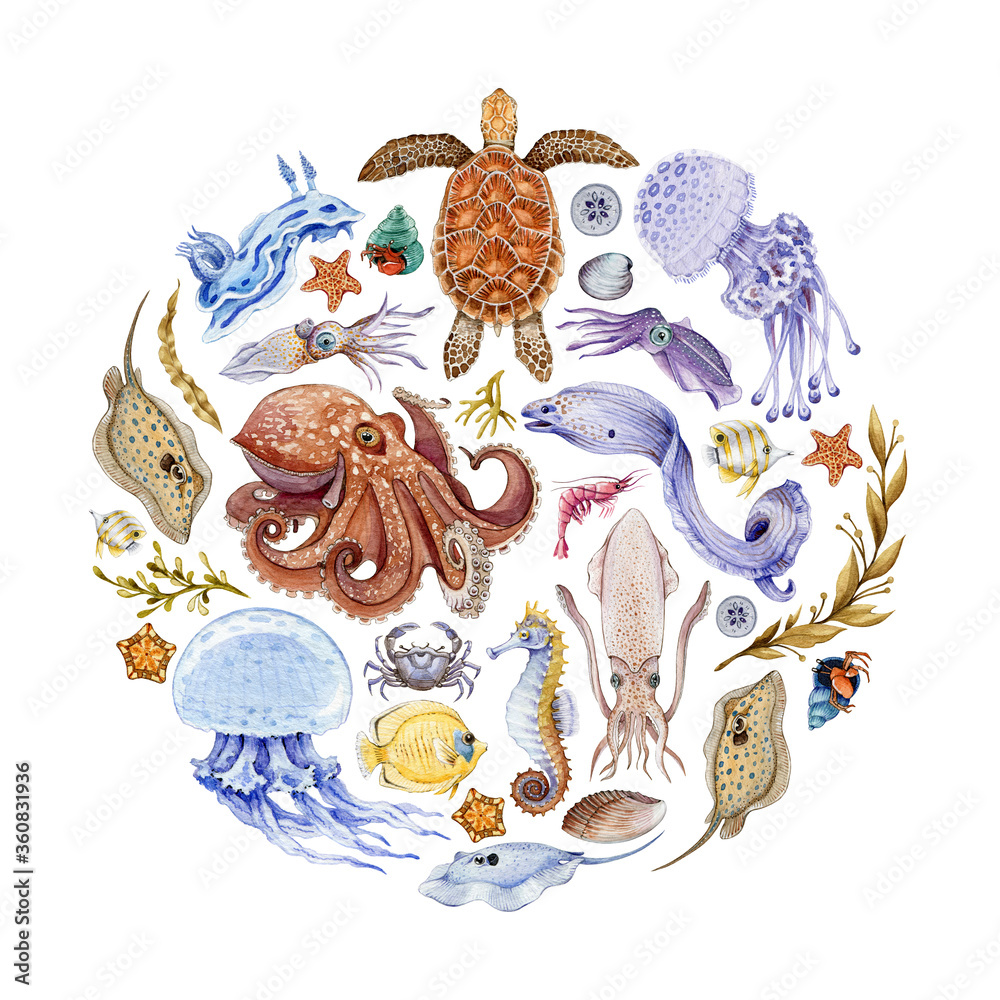 Coral reef sea animals watercolor illustrated round. Hand drawn ...