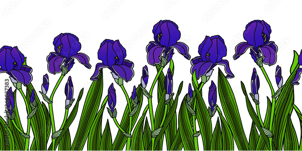Pretty hand drawn seamless border in cute garden flowers of iris ...