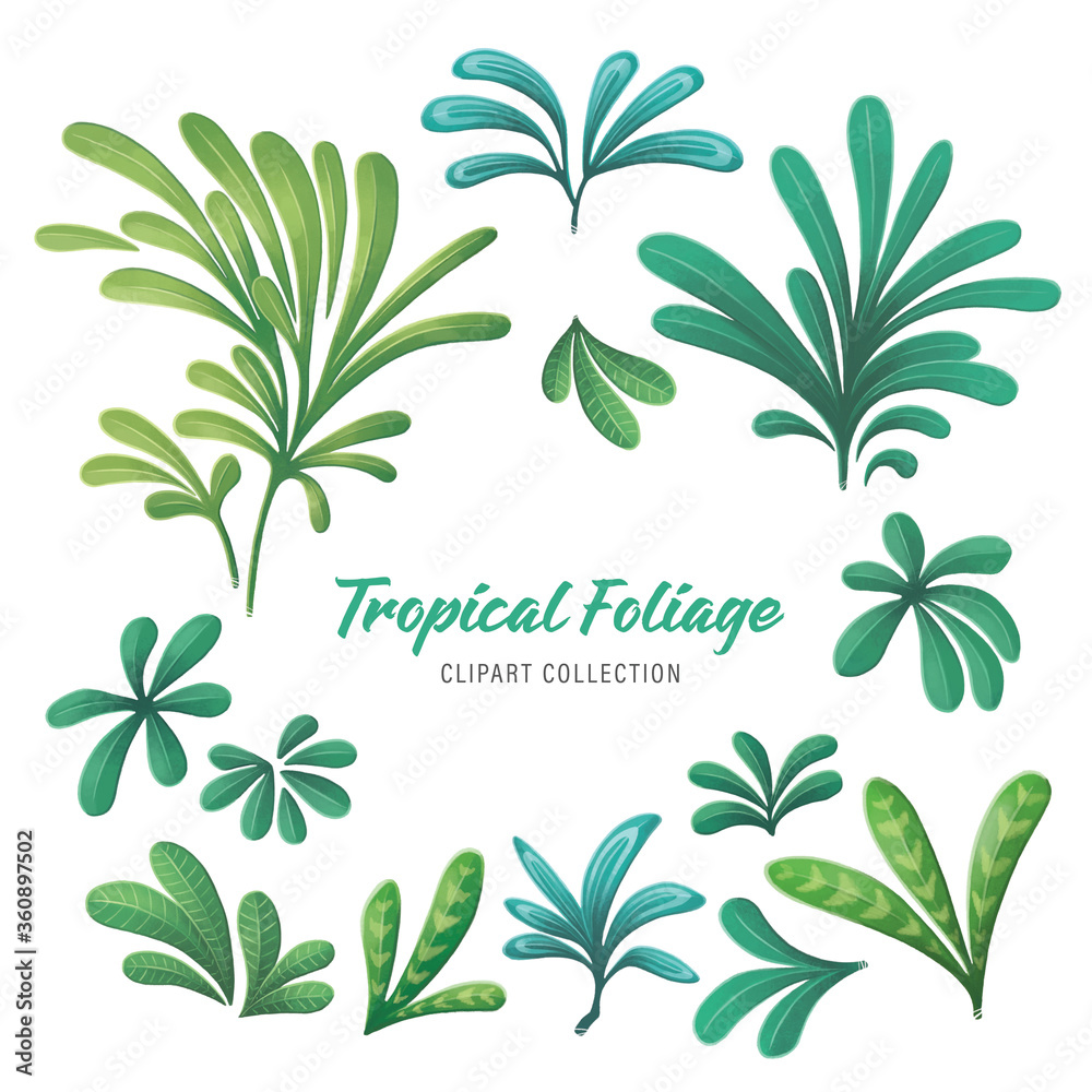 Tropical foliage clip art collection isolated on white background Stock ...