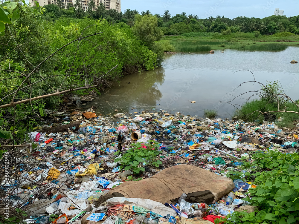 Water pollution near mangrove trees madh island Mumbai Stock Photo ...