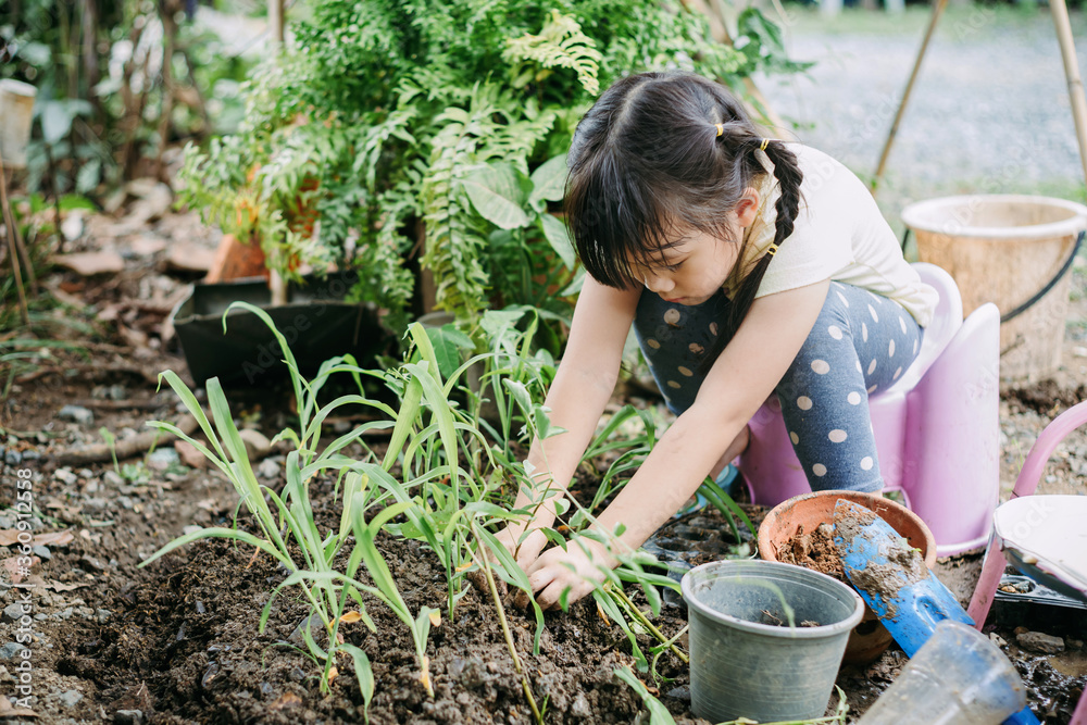 Cute asian child girl planting the plants in the garden for hobby time ...