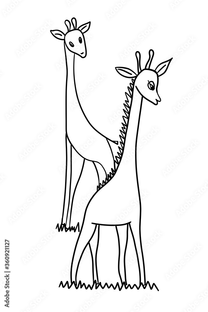 curved line graphic drawing of giraffes couple on grassland, as work ...