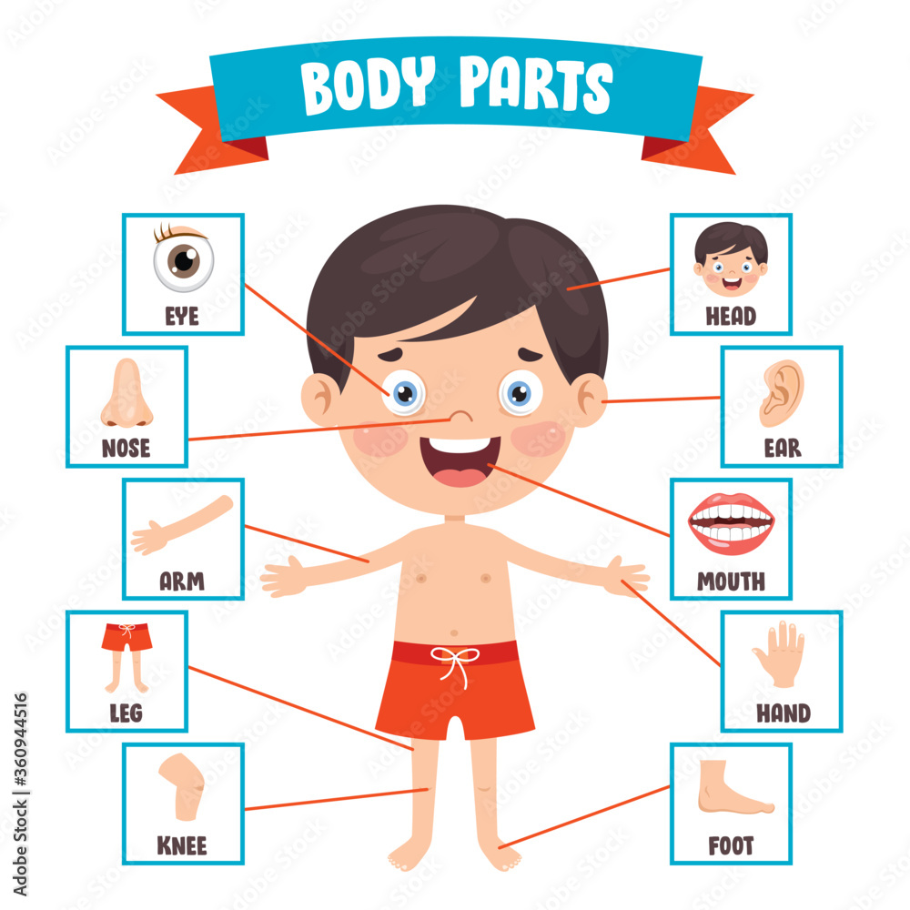 Private Parts Of A Child