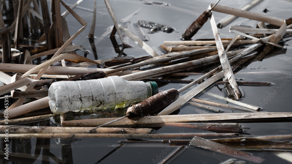 Floating plastic bottle garbage litter in an environmental wetland pond ...