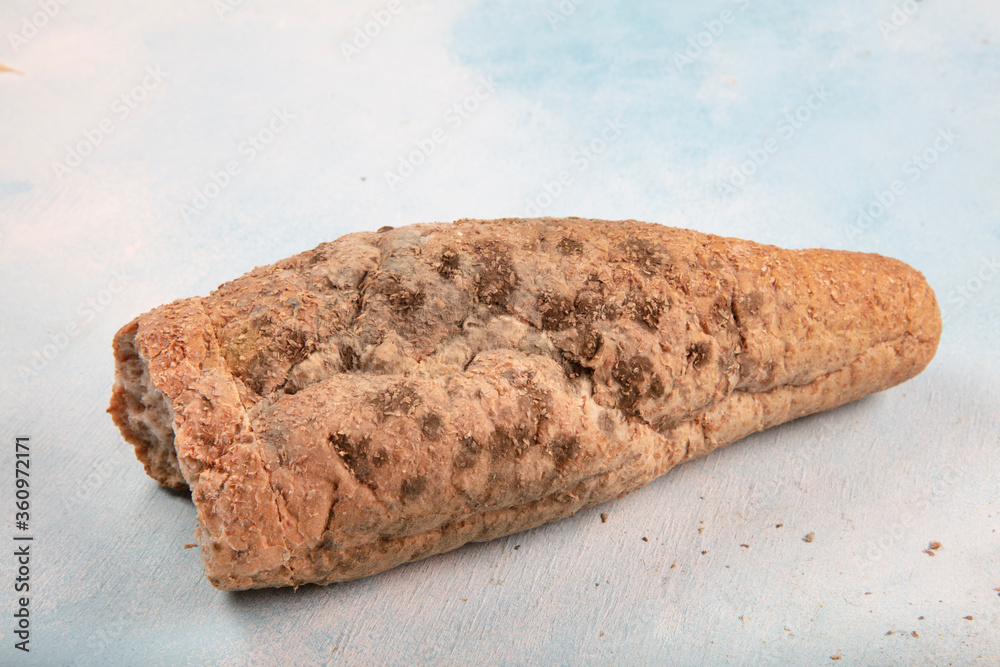Macrophotography of green mildew on a stale bread. Surface of moldy ...
