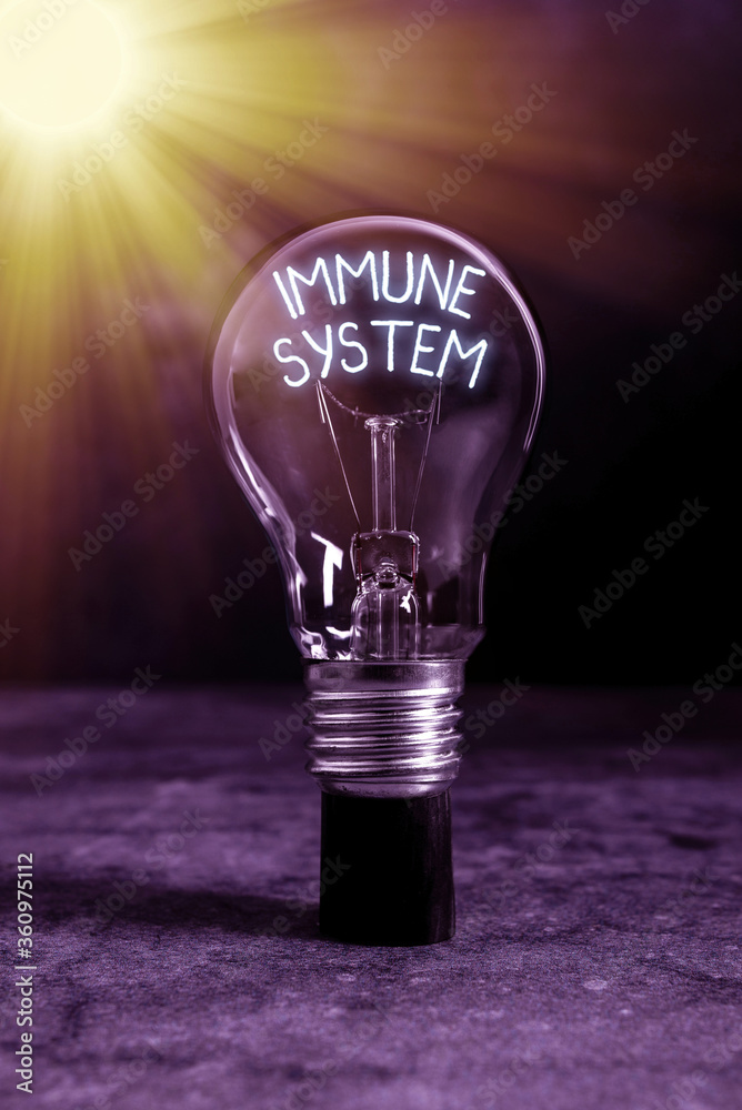 Text sign showing Immune System. Business photo text Complex network ...