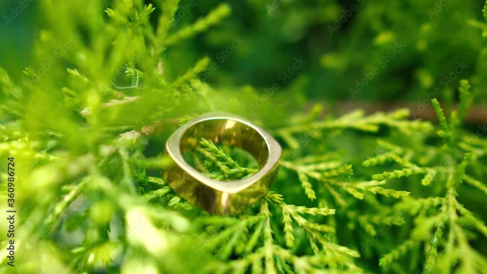 A Sanjay garden plant with a wedding ring in 4K and handheld movement ...