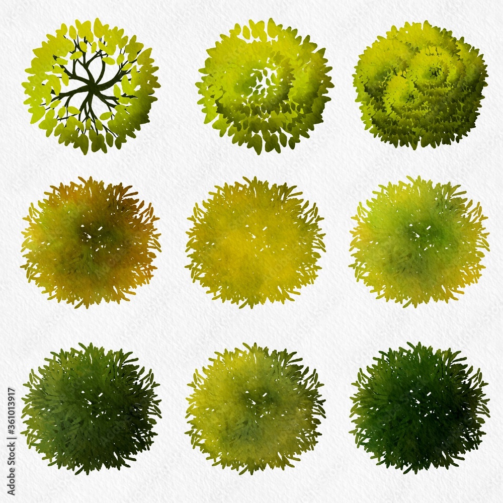 Set of watercolor tree top view for landscape plan and architecture ...