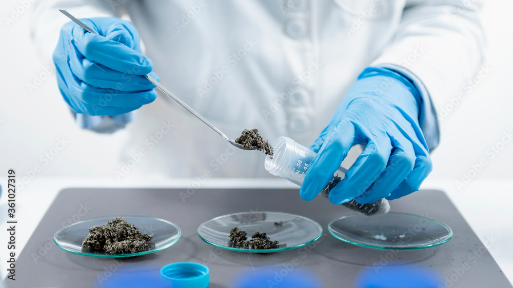 Pesticide Testing. Laboratory inspection of Organic Farming Samples ...