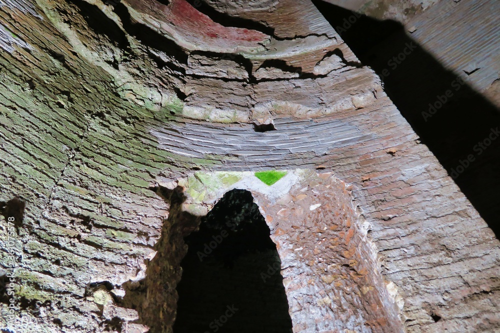 trunk of a tree, photo as a background in old italian roman domus aurea ...