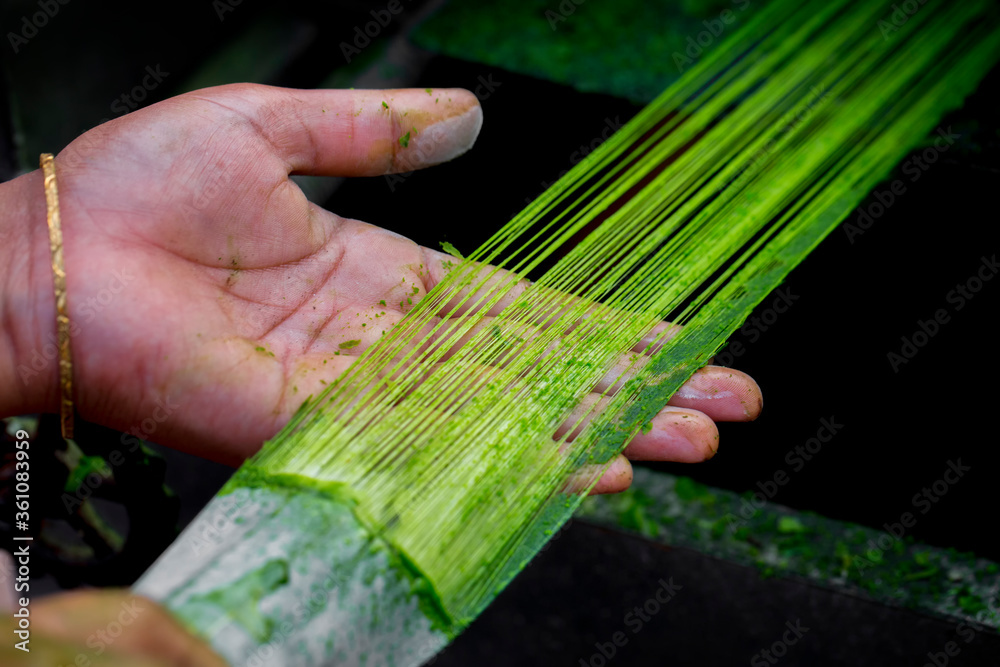 Fiber is being made from the pineapple tree leaves. A Hand and Unwashed ...