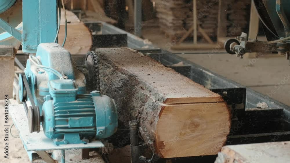 Closeup of cut pine tree log on sawing machine at wood production ...