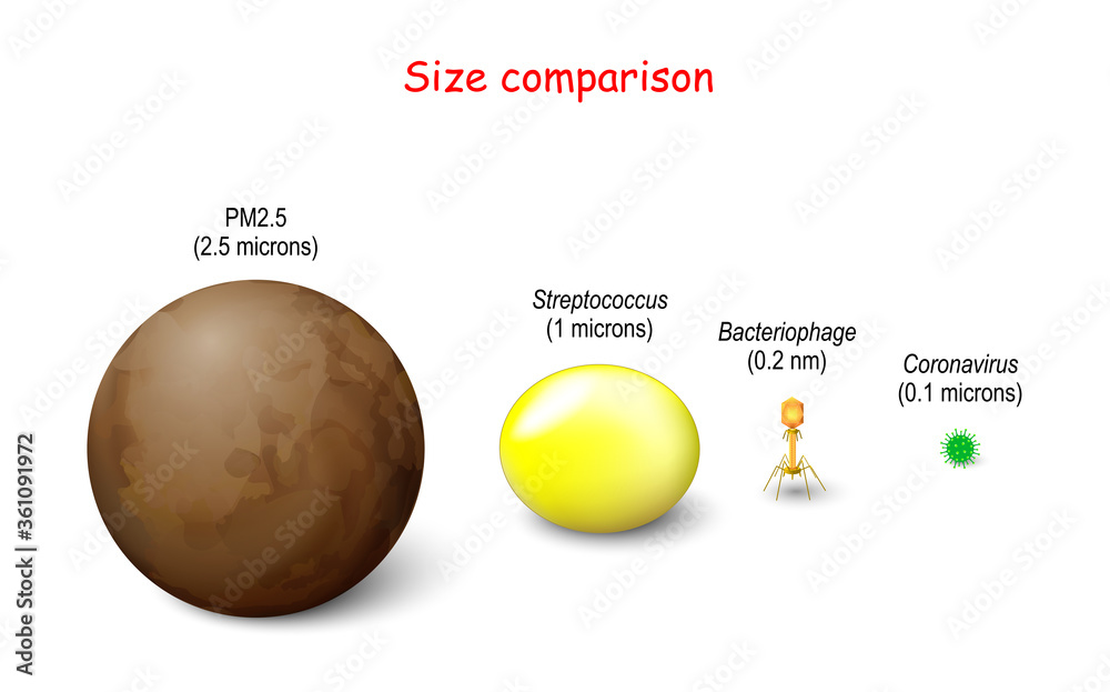 Size comparison. PM 2.5 and coronavirus Stock Vector | Adobe Stock