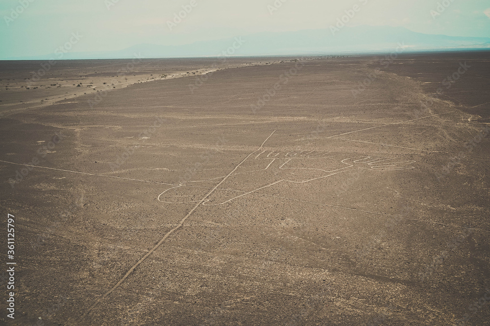 líneas de Nazca ubicada en las pampas de Nazca en Perú. foto de Stock ...