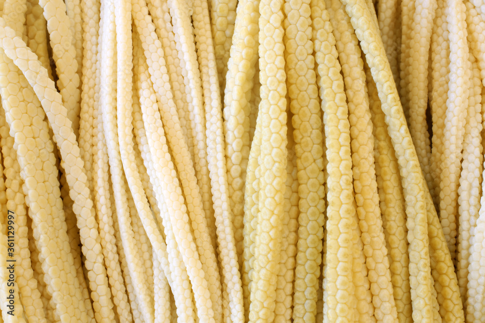 Canned edible inflorescence of the pacaya palm, for backgrounds or ...