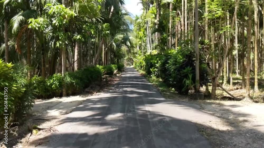 4K Tracking Shot Down Road Through Trees on Little Andaman, Andaman ...