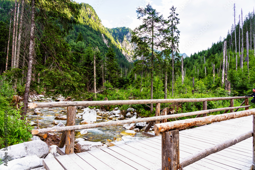 The High Tatras Mountains (Vysoké Tatry, Tatry Wysokie, Magas-Tátra ...