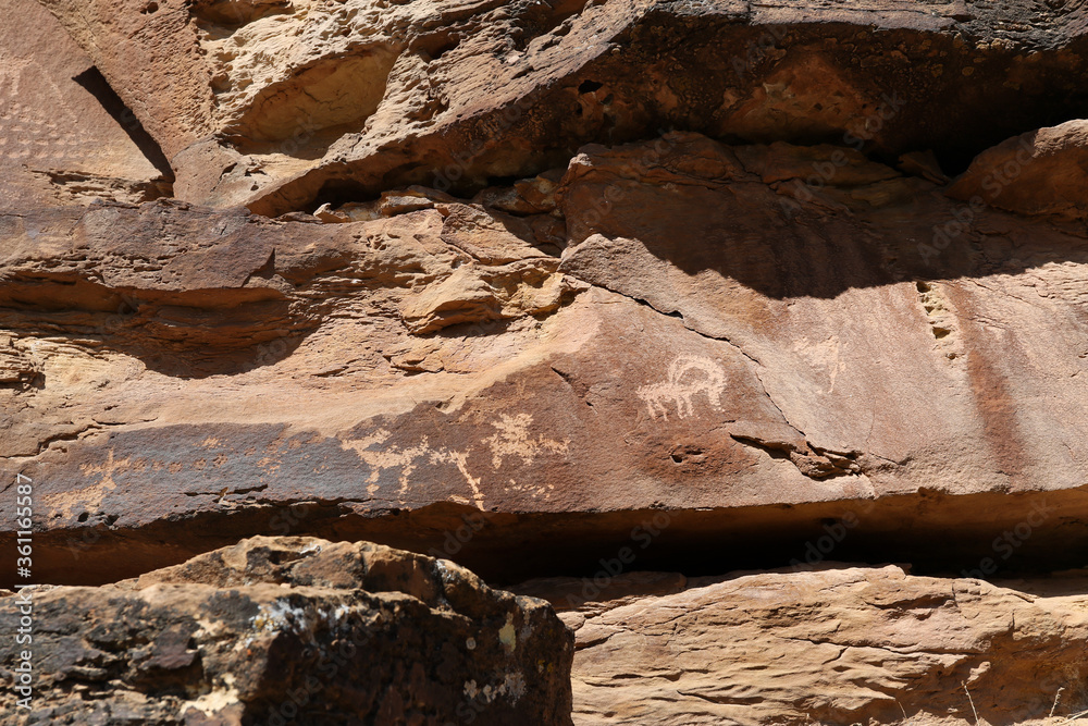 Ancient Native American Indian rock art petroglyph deer Utah 1451. Nine ...