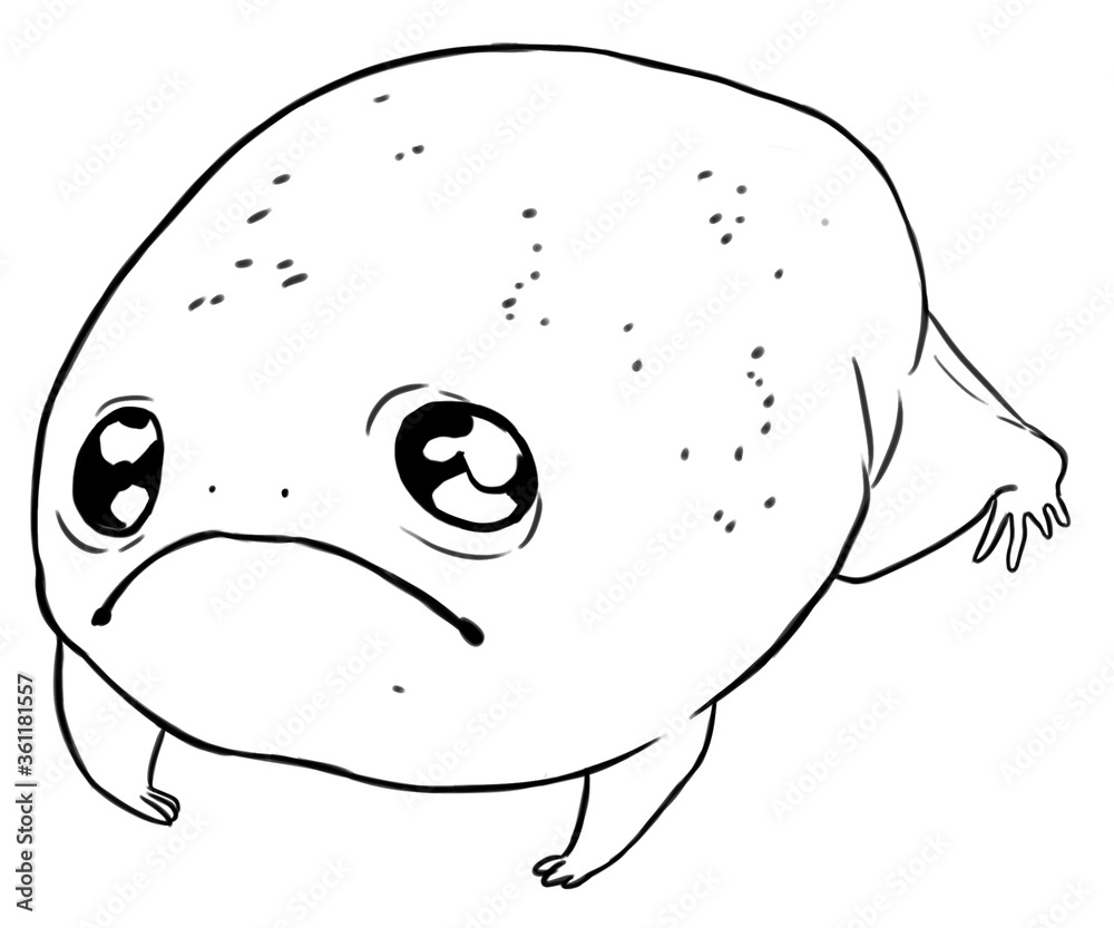 Black and white digital illustration of a black rain frog (Breviceps ...