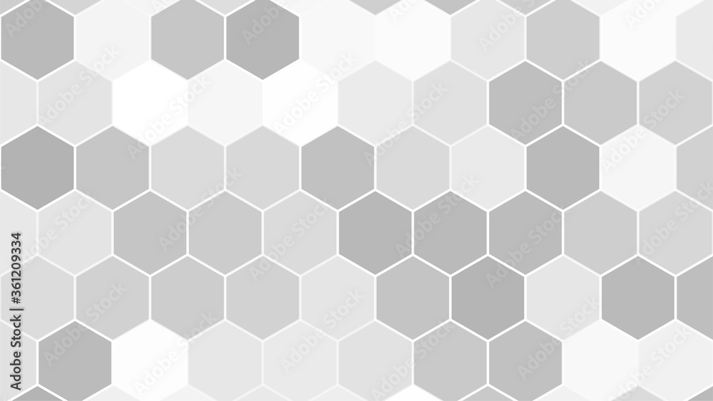 White Hexagon Pattern