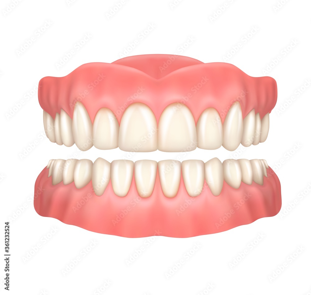 Dentures or false teeth realistic vector design of orthodontics and ...