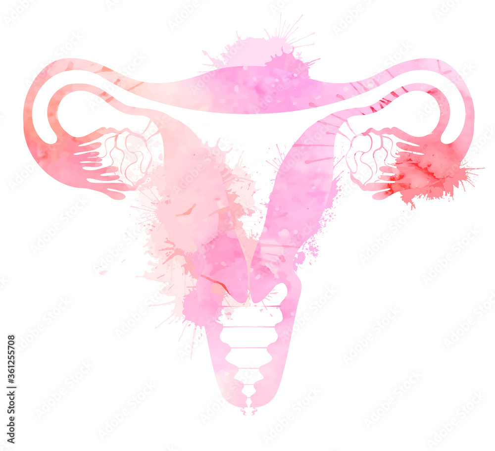 Pink silhouette anatomical uterus with watercolor splashes. Healthy ...