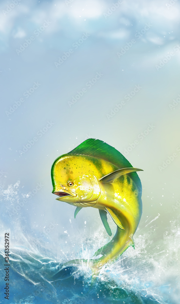 Mahi mahi or dolphin fish on back. Mahi mahi yellow fish realistic ...