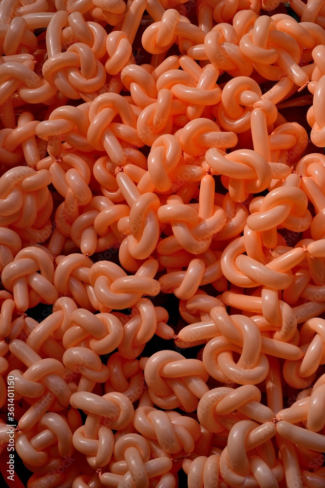 Foto de Recorridos personales. animales, objetos, colores, comida ...