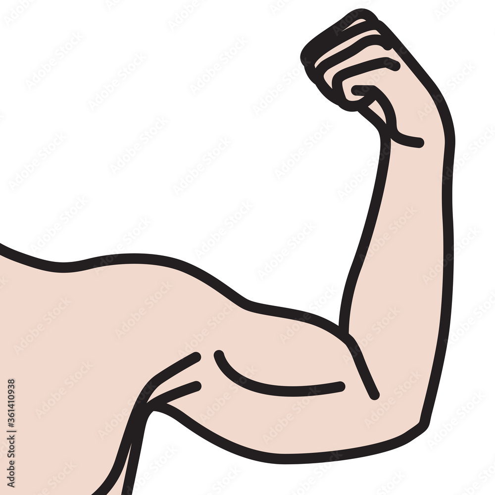Powerful male arms with flexed biceps muscles. Linear vector ...