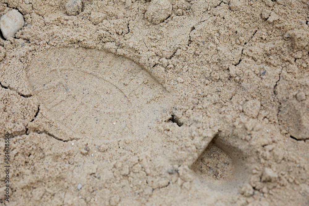 Collecting footprint on crime scene. Footprint of criminal. foto de ...