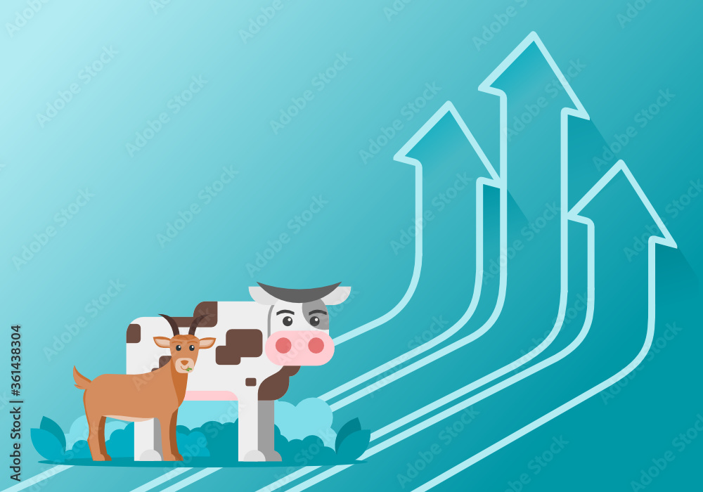 Live Feeder Cattle or Cow & Goat Price Value Stock Market Demand Rise ...