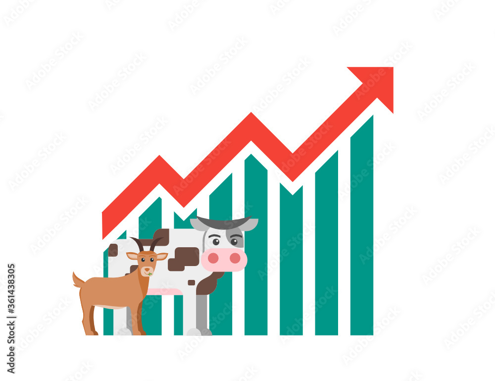 Live Feeder Cattle or Cow & Goat Price Value Stock Market Demand Rise ...