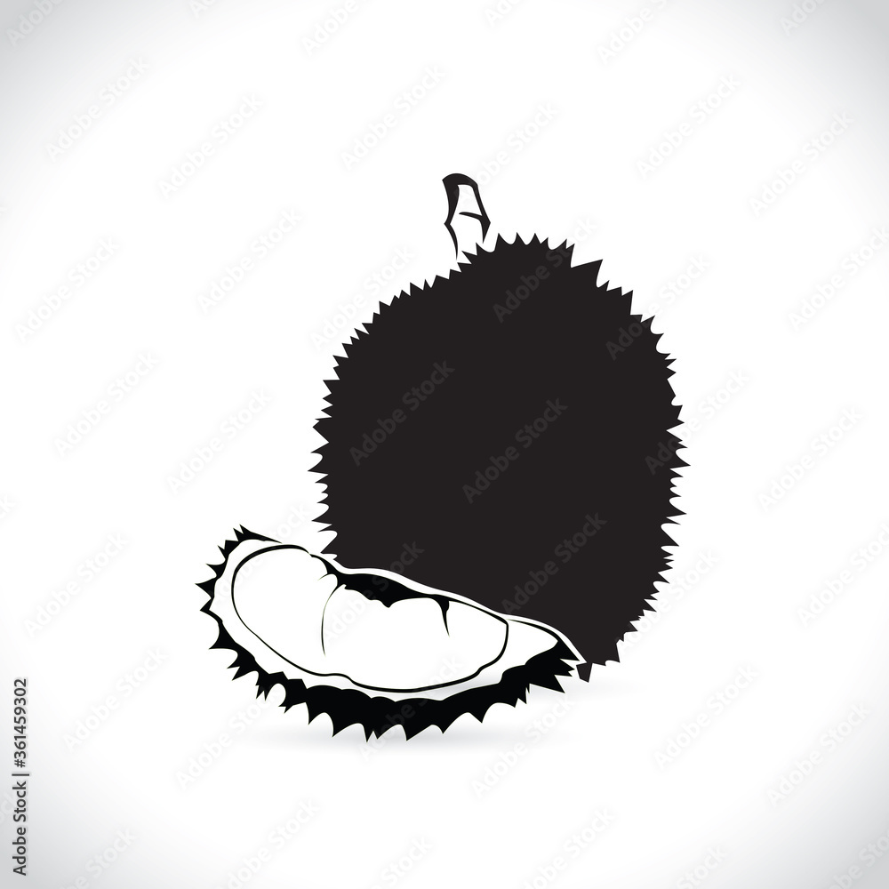Vector of durian, logo and icon durian isolated on the white background ...