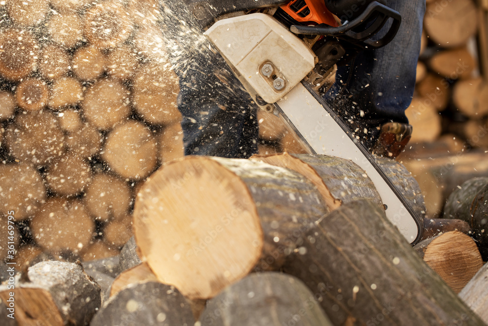 Chainsaw in action cutting wood. Man cutting wood with saw, dust and ...