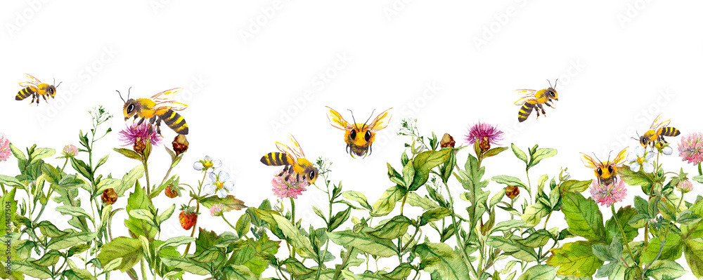 Honey bees in meadow flowers, summer grasses. Seamless floral border ...