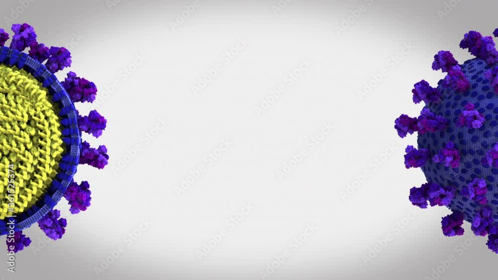 SARS CoV-2 Envelope Section-in the center with description - 3D model ...