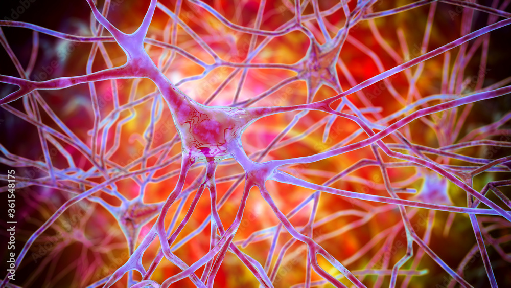 Neurons, human brain cells, 3D illustration. Human nervous system Stock ...