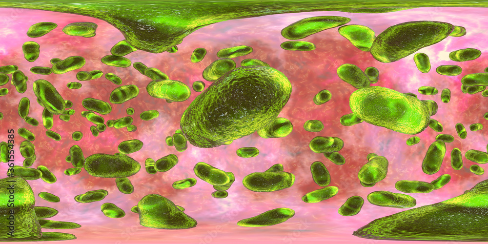 Porphyromonas gingivalis bacteria, 360 degree panorama view Stock ...