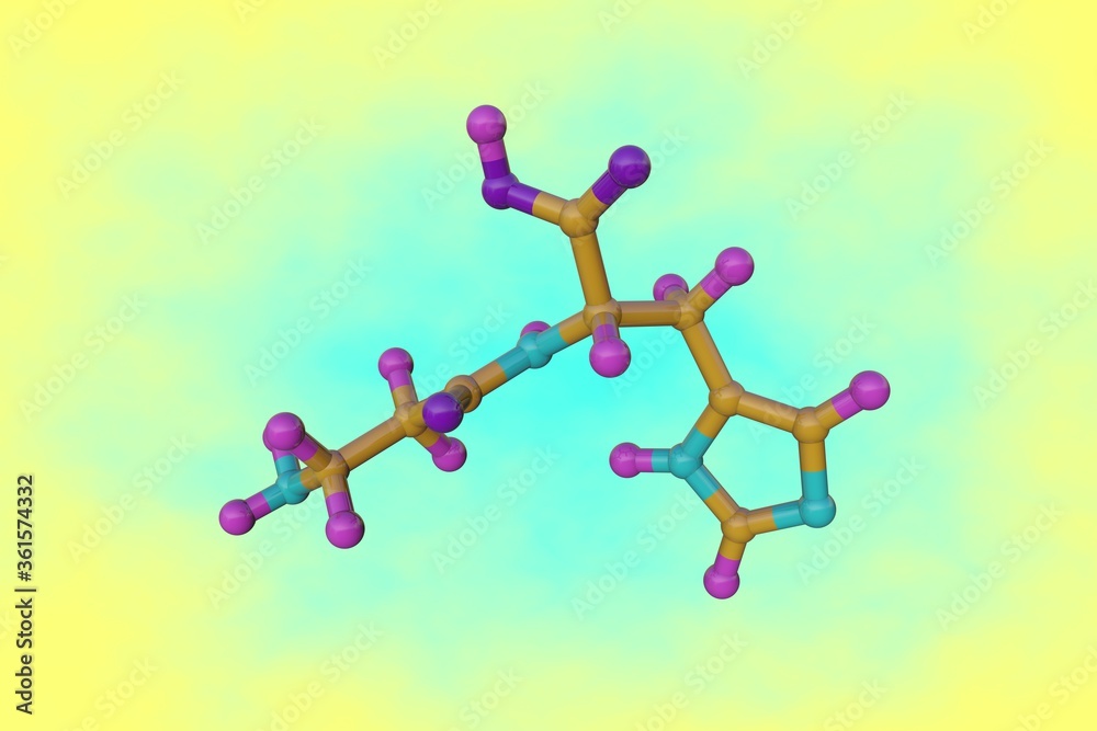 Molecular structure of l-carnosine. Atoms are represented as spheres ...