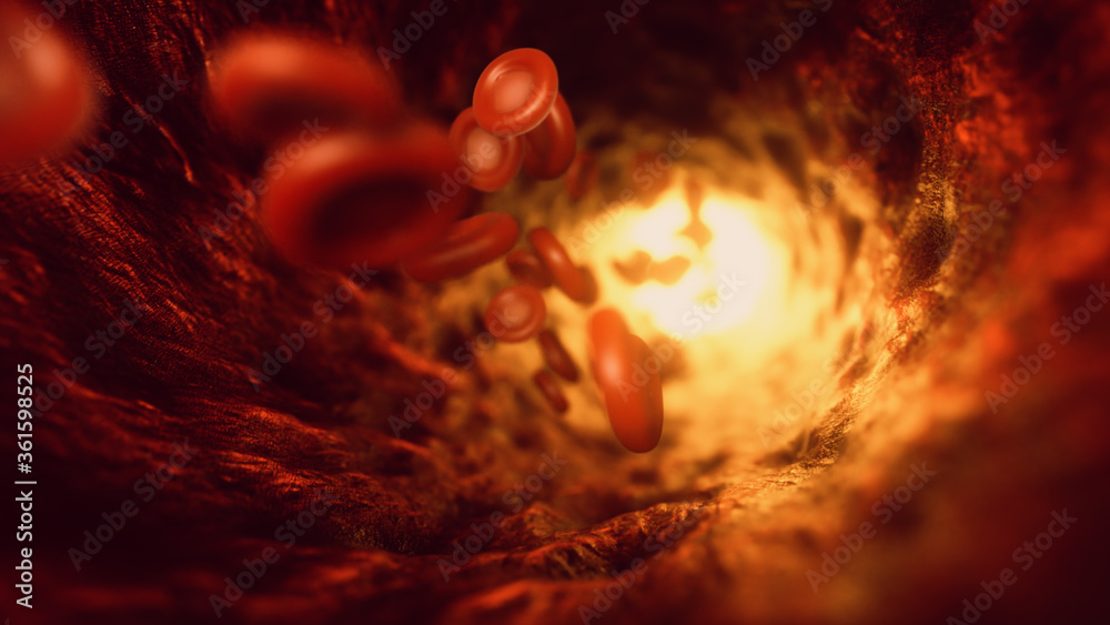 Red blood cells moving in the bloodstream in an artery. Hemoglobin ...