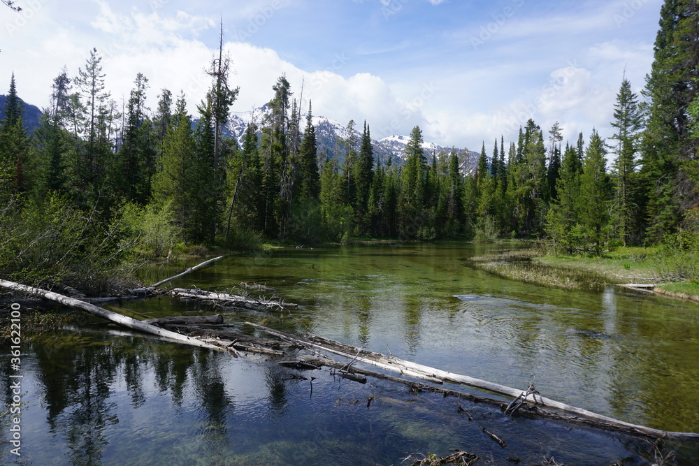 Scenic landscape in Laurance S. Rockefeller Preserve - Grand Teton ...