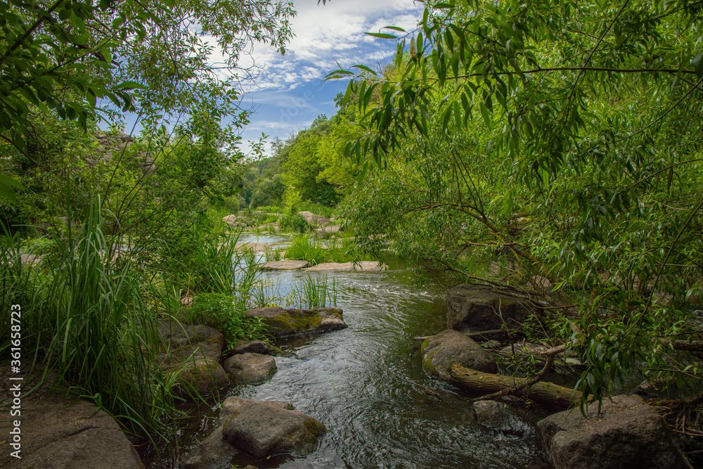 beautiful tropic nature landscape photography of rocky river stream in ...
