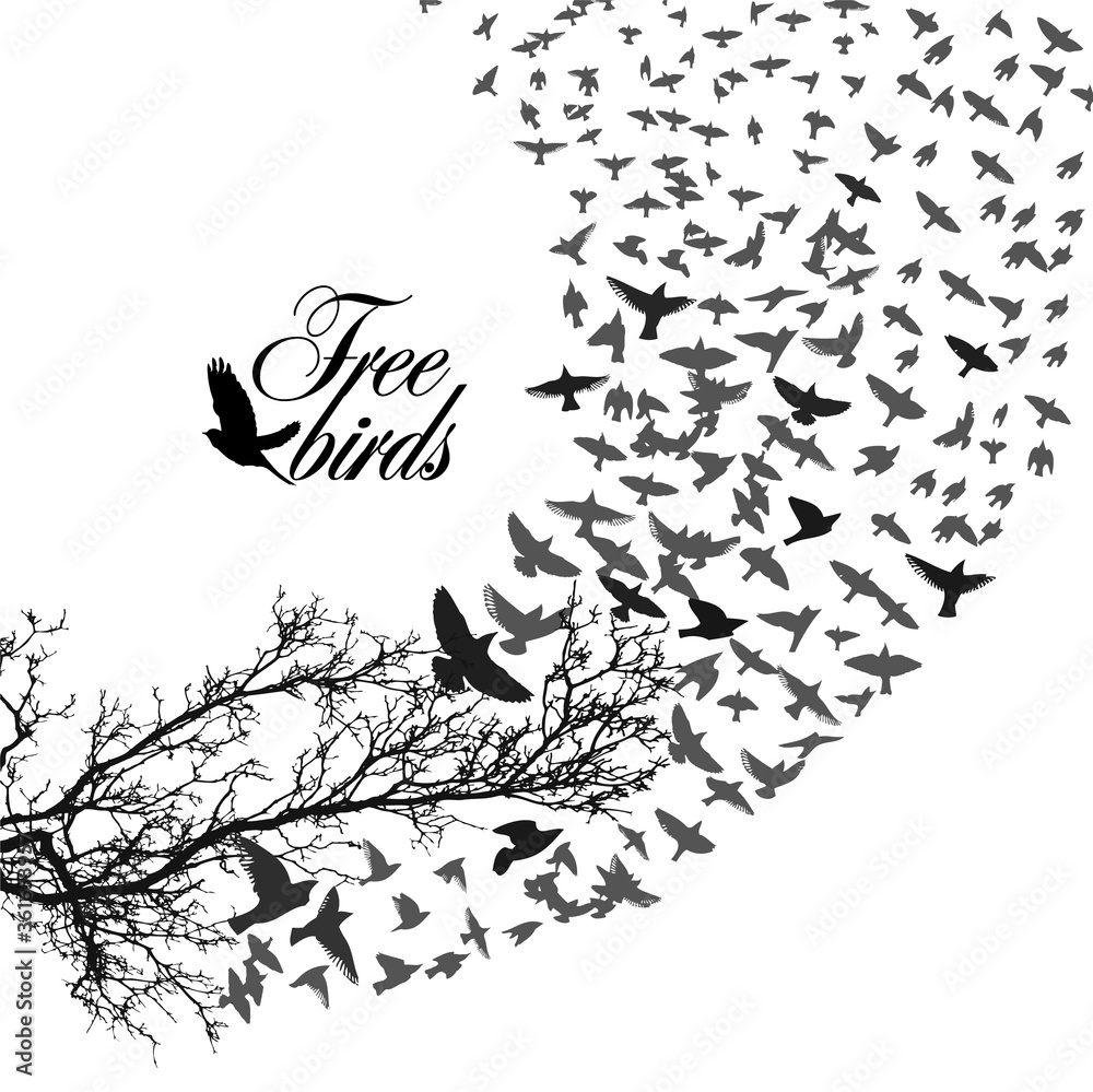 Birds Flying Away Vector