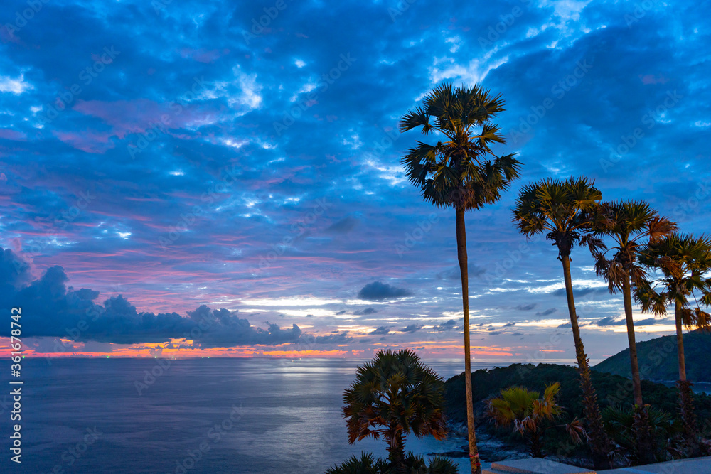 .The sugar palm is a symbol of Promthep cape viewpoint. .Promthep cape ...