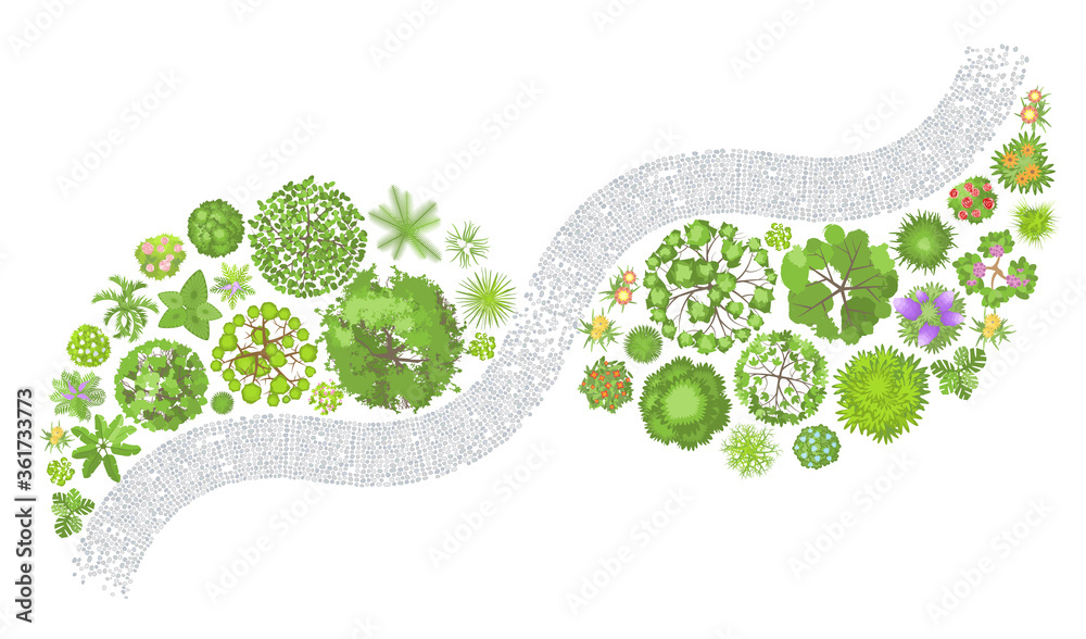 Vector illustration. Landscape design. Top view. Path, trees and ...