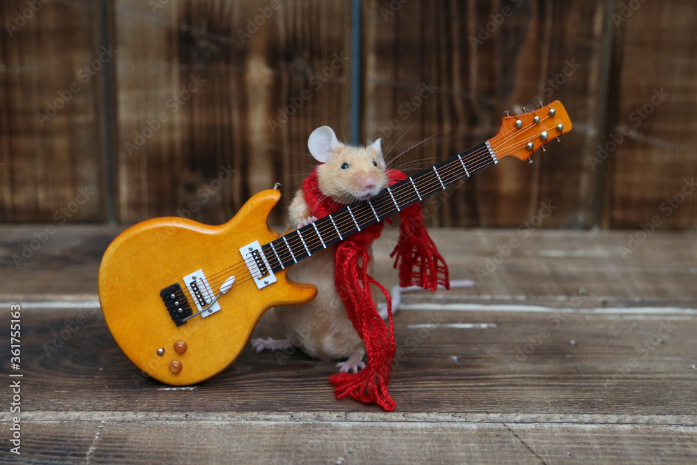 Сute mouse plays guitar, sings. Fun pet fond of music. Talented animal ...