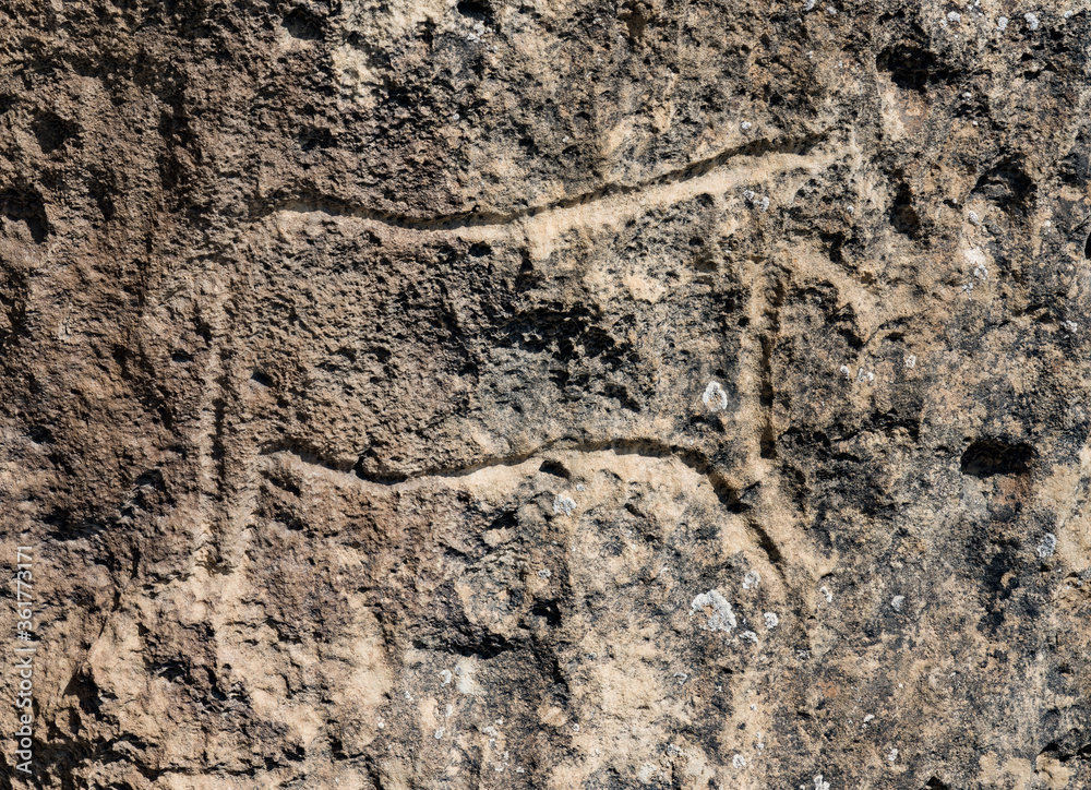 Ancient rock carvings petroglyphs in Gobustan National park. Exposition ...