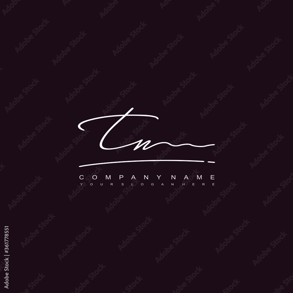 TN initials signature logo. Handwriting logo vector templates. Hand ...