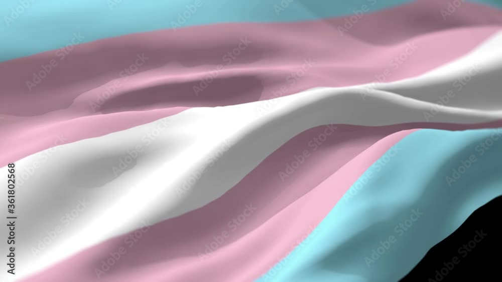 Flag transgender pride community, 3d rendering windy waving transgender ...